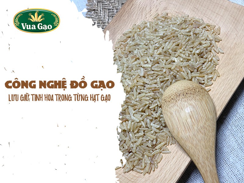 Công Nghệ Đồ Gạo Quá Trình Lưu Giữ Tinh Hoa