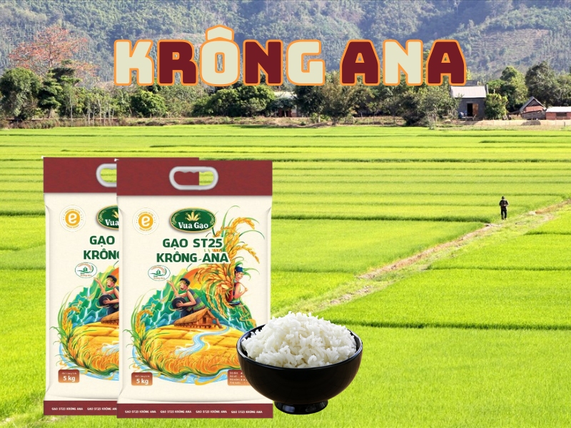 Gạo ST25 Krông Ana